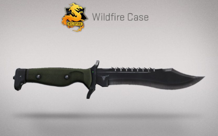 【1080P60FPS】CSGO最惊艳的十个鲍伊猎刀皮肤【2018年】鲍鱼...