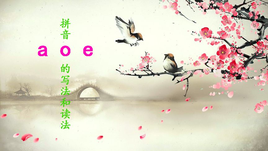 小刘讲拼音,一年级入学拼音,韵母a o e,读法和写法
