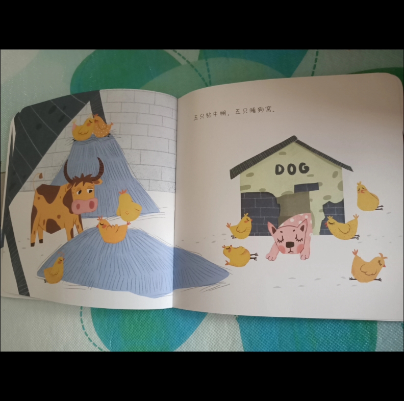 飞儿读绘本～《十只小母鸡》