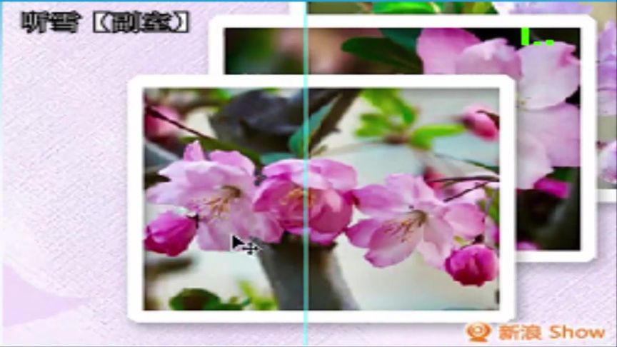 PS效果海棠花开1