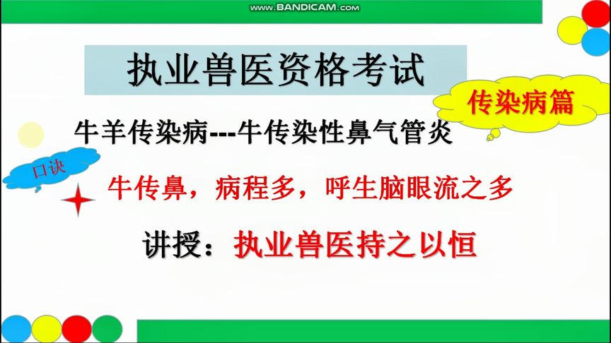 执业兽医资格考试--预防科目--牛羊传染病学--牛传染性鼻气管炎