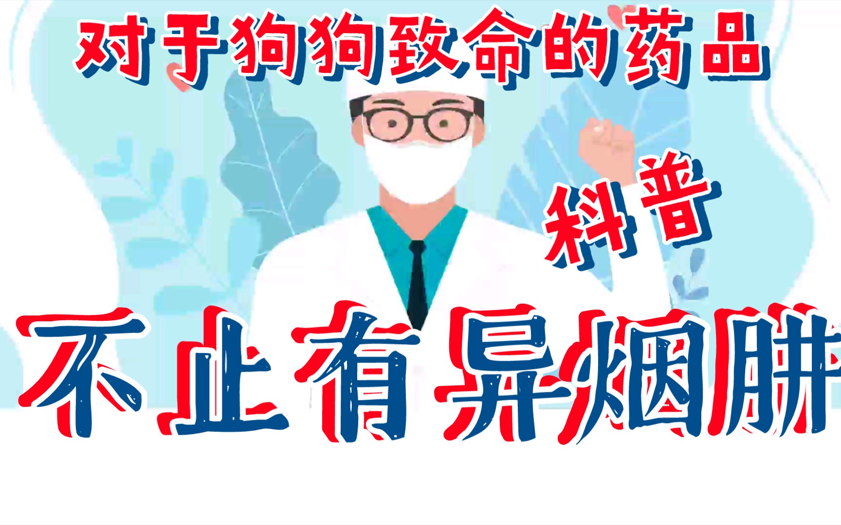 除了异烟肼硝氯酚和木糖醇,还有什么对狗狗是致命的?
