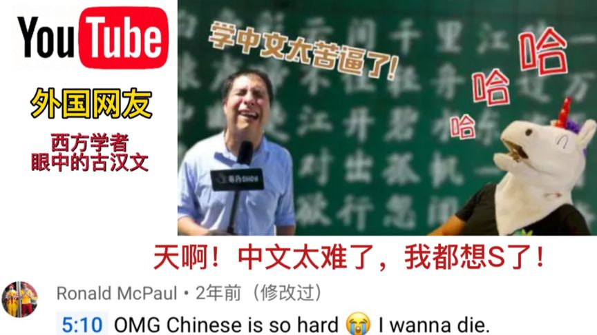 中国影响力遍布世界,西方学者掀起“中文潮”,外国网友:太难了