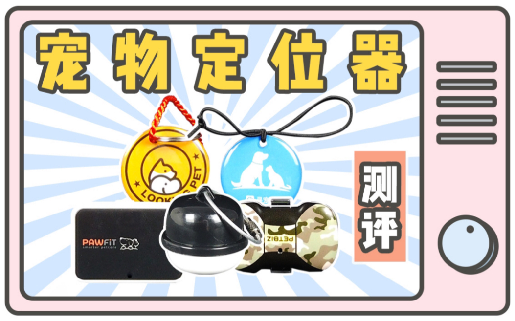 5款最火的宠物定位器测评,没人看就当我翻车吧!