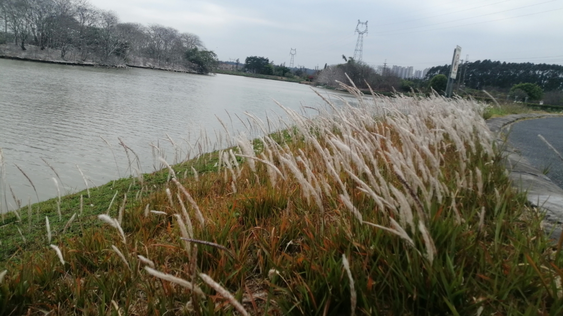 碳酸根,硫酸根,氯离子的检验