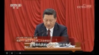 尊法学法用法守法
