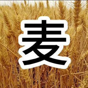 麦果说影