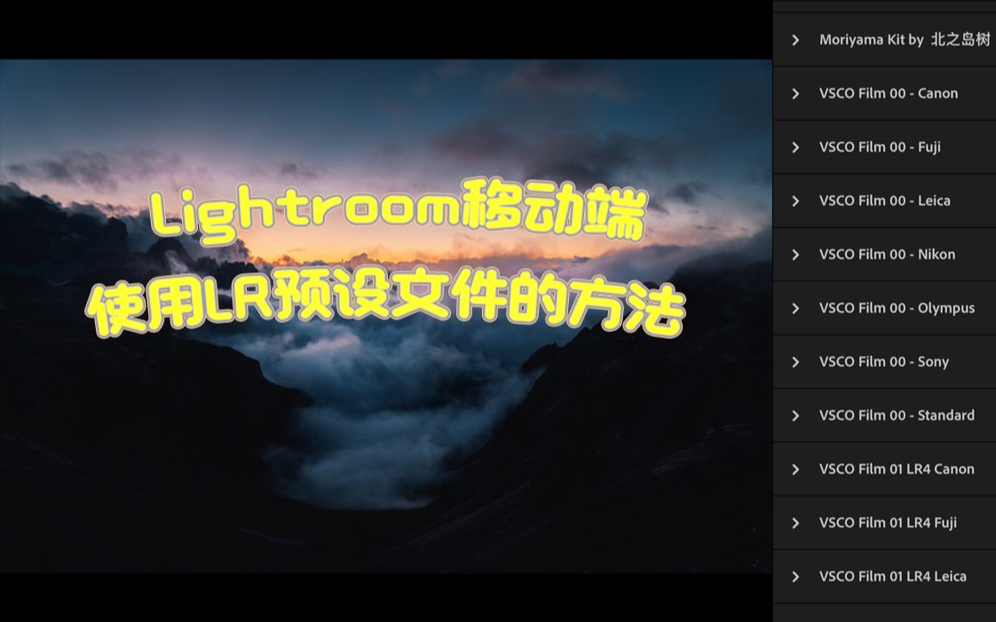 Lightroom移动端APP使用LR预设文件的方法 修图只用这一个就够了!