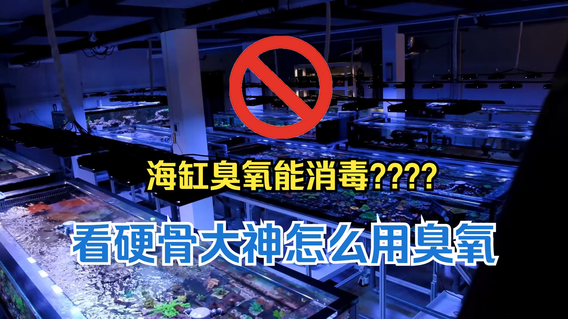 海缸臭氧能消毒?珊瑚缸臭氧正确用法及注意事项