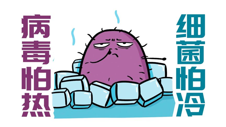 为什么说病毒怕热,而细菌怕冷?