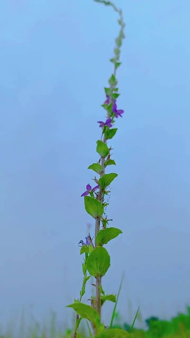 线条引导,视觉流动有方向。