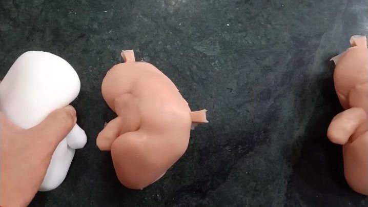 人体硅胶制作过程 硅胶心脏模型