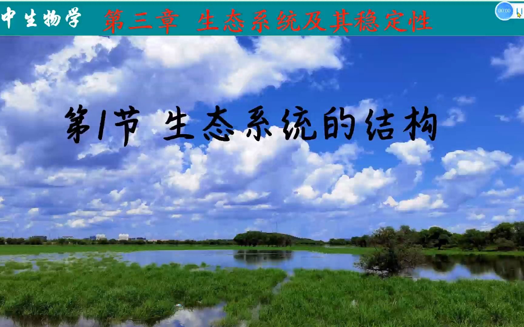 生态系统的结构1