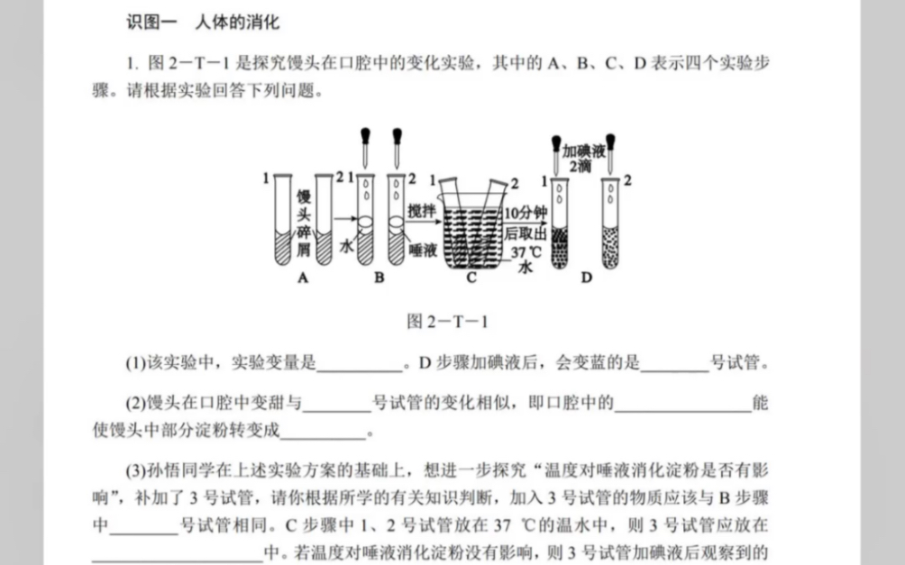 七下生物识图分析题专项练习,熟记稳上90+