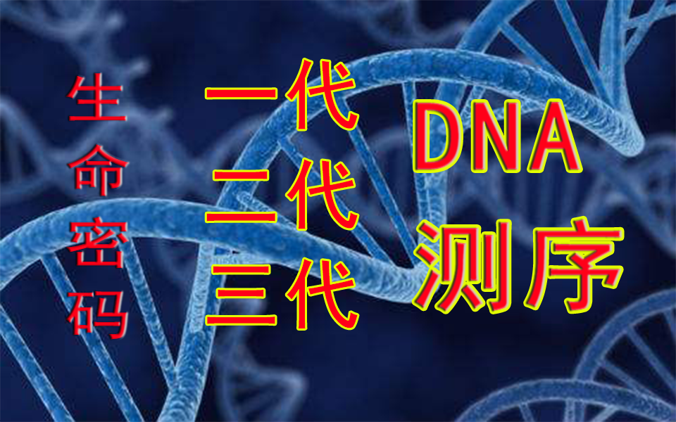 DNA测序,第一代DNA测序,第二代DNA测序,第三代DNA测序,sanger法...
