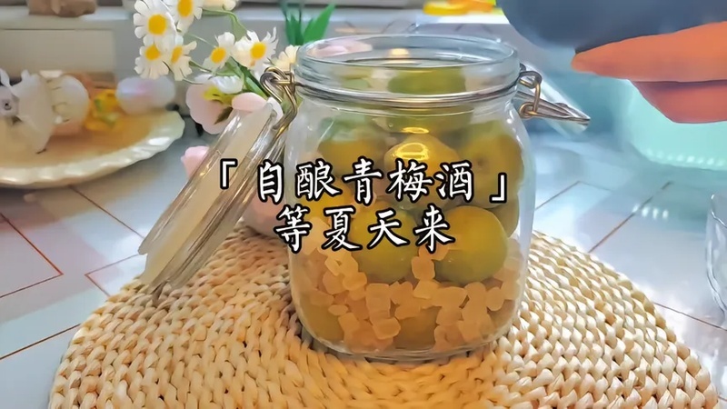 留春色,夏已始 酿一壶青梅酒 又是一年青梅季 自酿零难度
