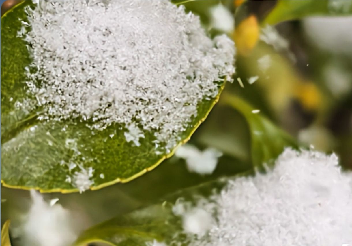用AI图片转视频的下雪效果真不错