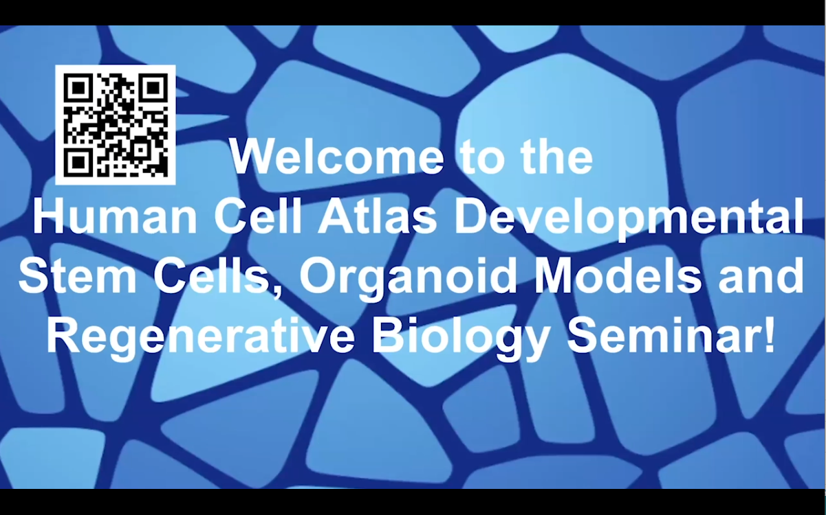 人类细胞图谱之发育干细胞、类器官模型和再生生物学