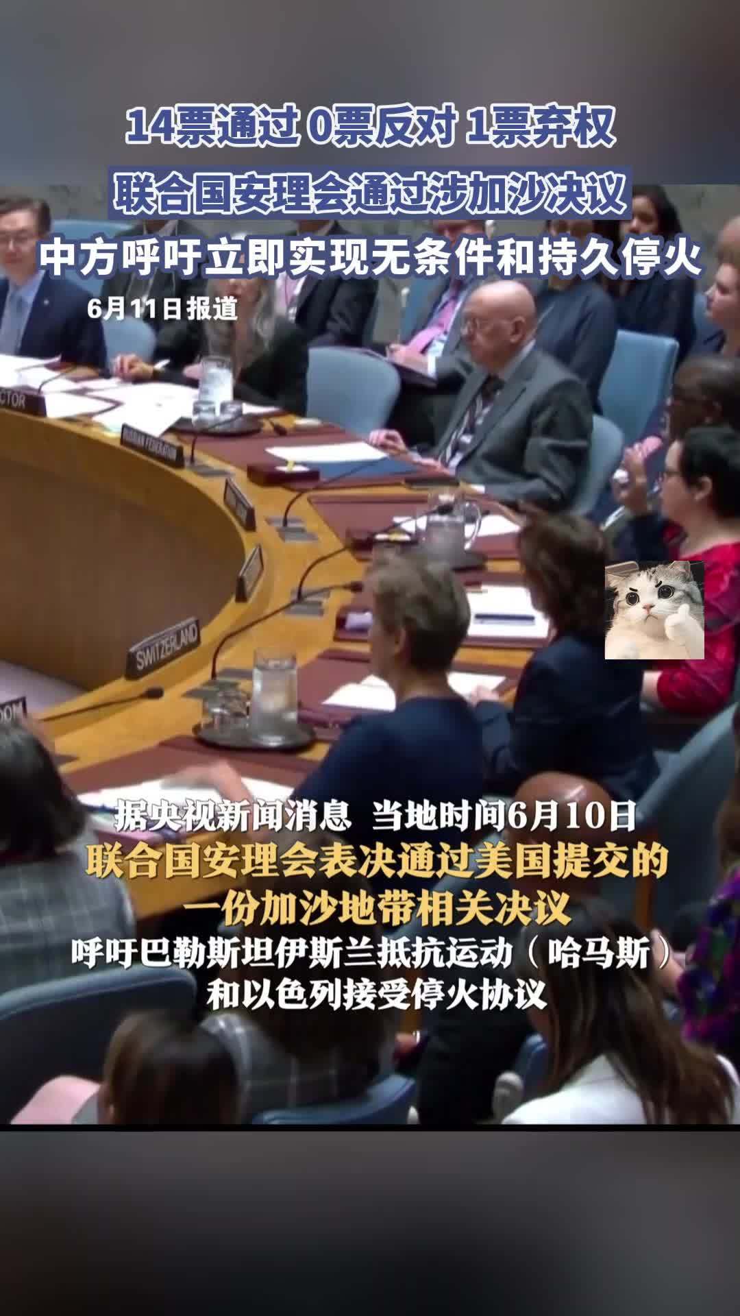 联合国安理会通过涉加沙决议中方呼吁立即实现无条件和持久停火