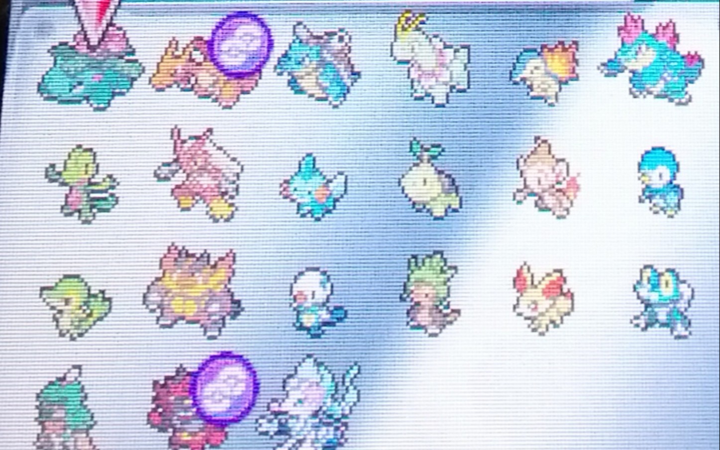 ...七世代的繁星。21只闪光御三家集齐纪念。《精灵宝可梦•究极之日》