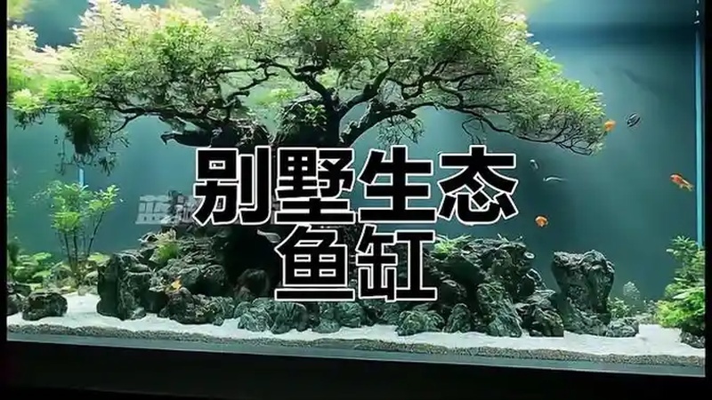 别墅生态鱼缸设计,打造室内雨林景观