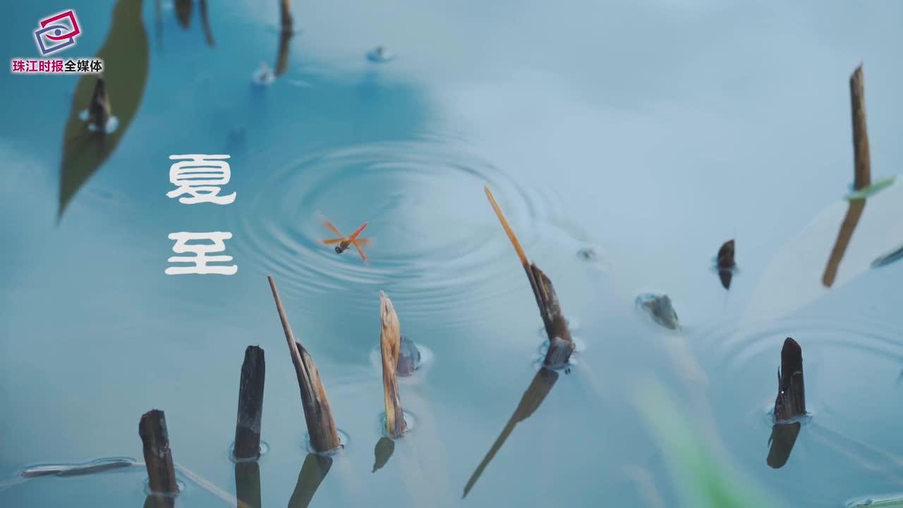 今日#夏至 一年中白昼最长的一天。火辣辣的天气已经开启。一大早已...
