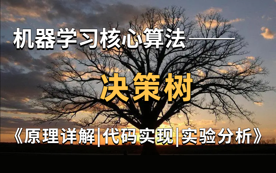 强推!复旦大佬手把手教学【机器学习核心算法-决策树】入门到实战...
