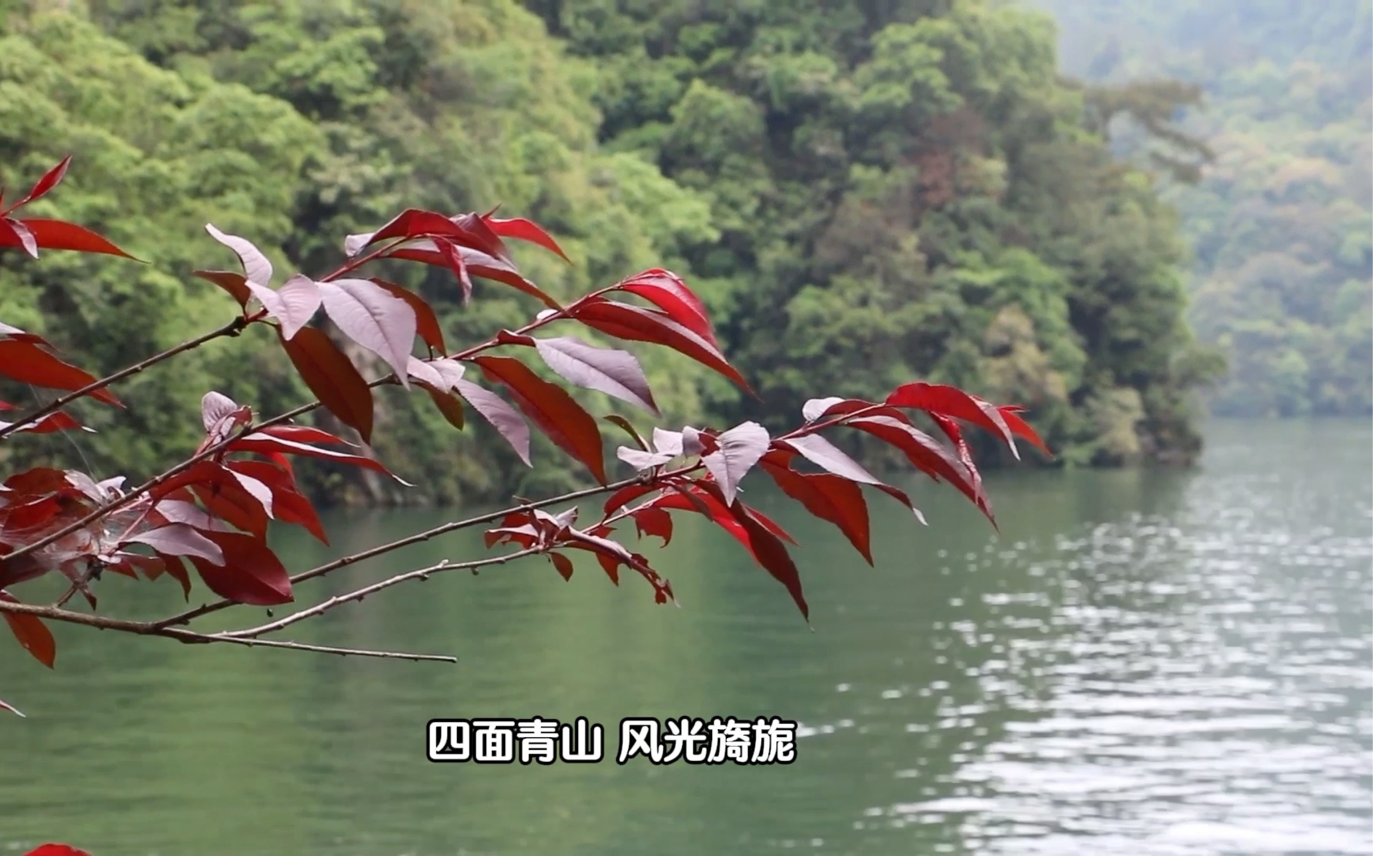 想去张家界旅游,但又不知道怎么玩?快收藏好这份攻略