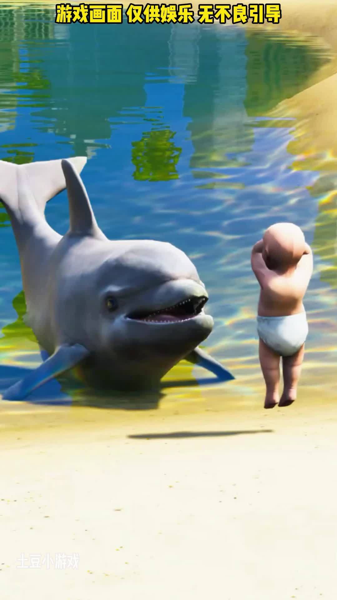 海豚#这个游戏很好玩 #游戏日常 #游戏