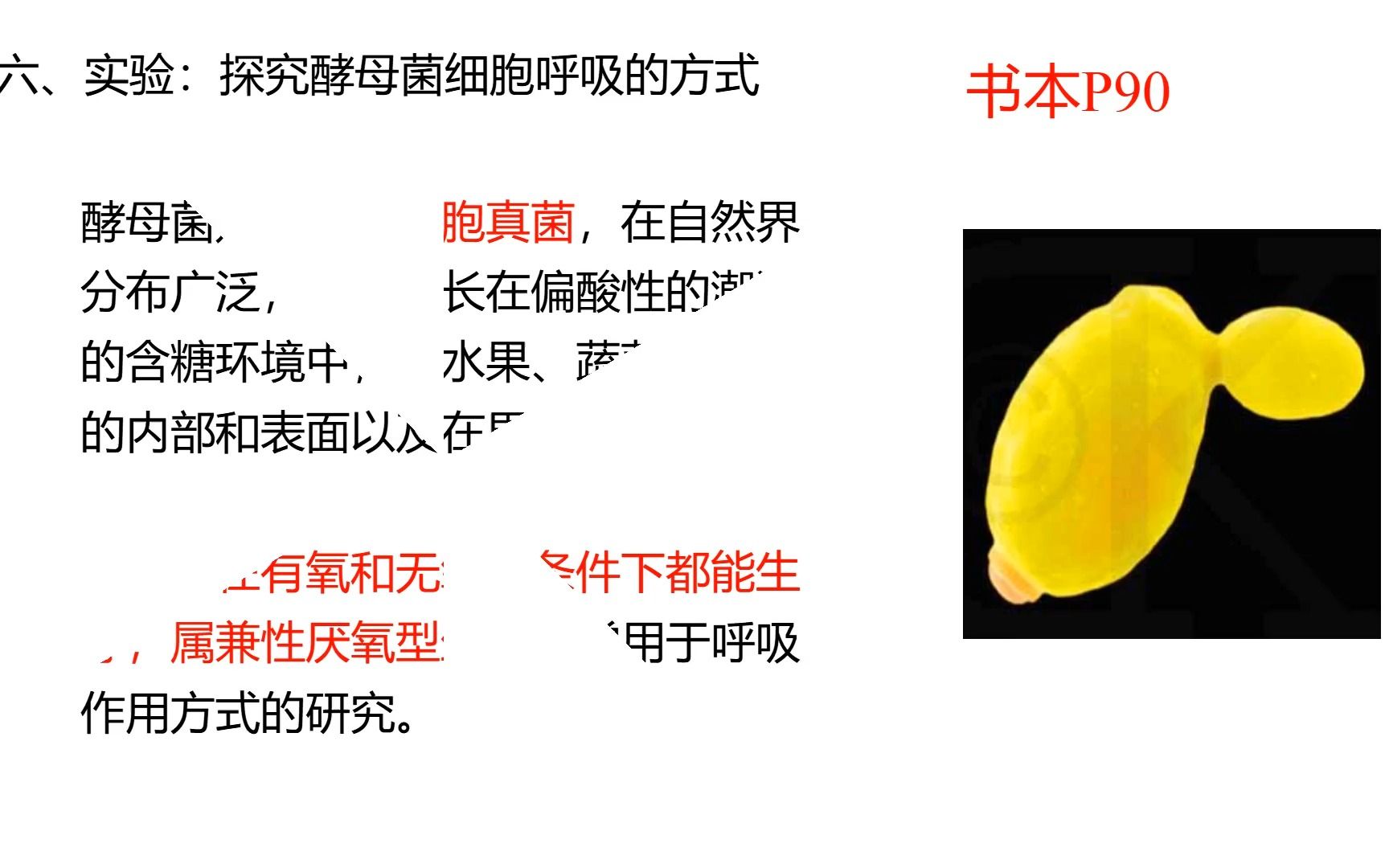 探究酵母菌细胞呼吸的方式