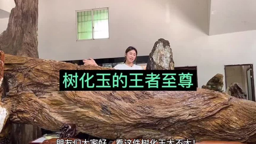 树化玉之王者至尊#奇石 #赏石艺术 #树化玉 #观赏石收藏