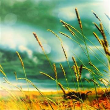 珉林语蕊Bertram_ 