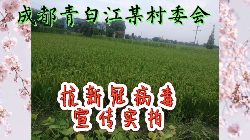 成都青白江某村田园广场与抗新冠病毒宣传!