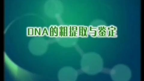 高中生物选修一《DNA的粗提取与鉴定》