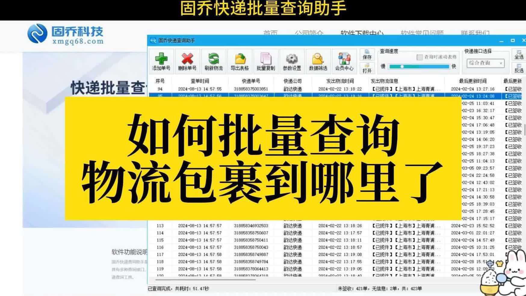 电商物流好帮手,批量查询助手助你高效管理