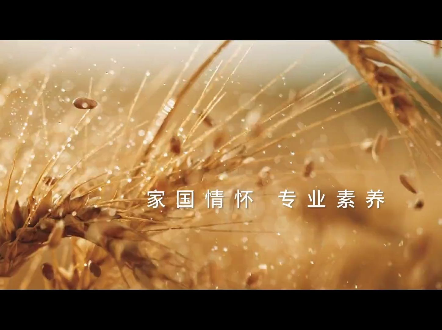 中国农业发展银行宣传视频(2024年版)