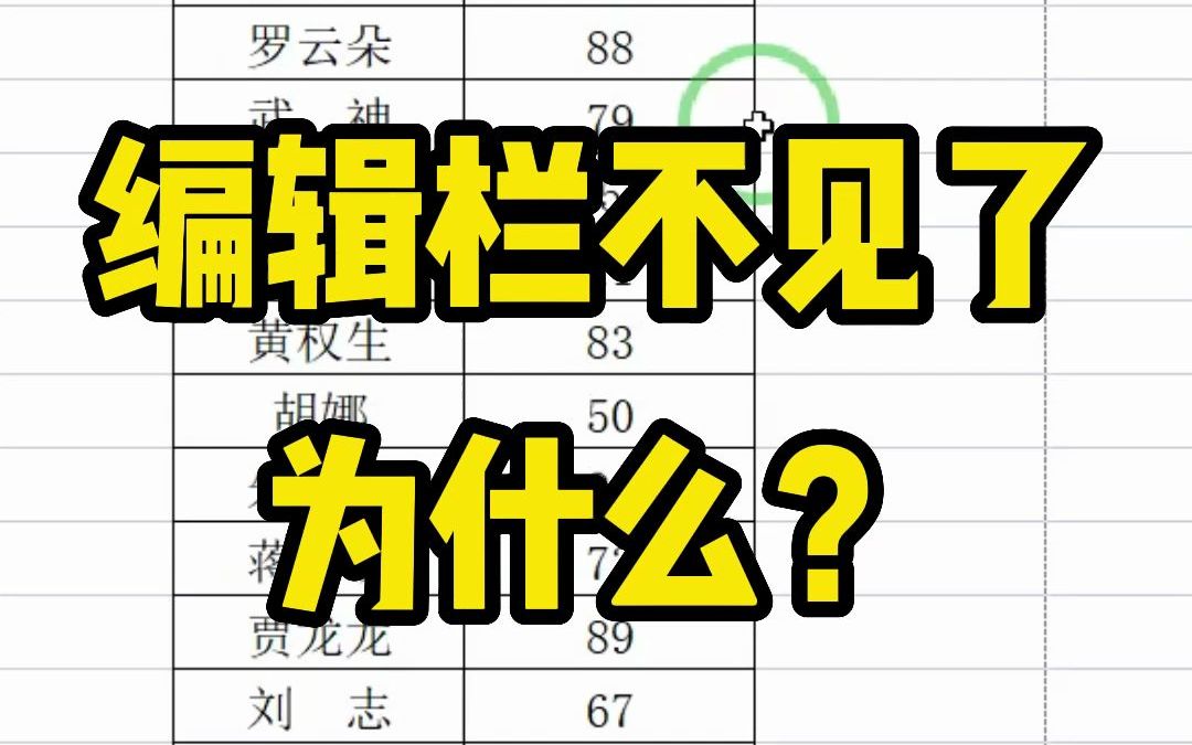 表格中的编辑栏不见了,这是为什么呢?