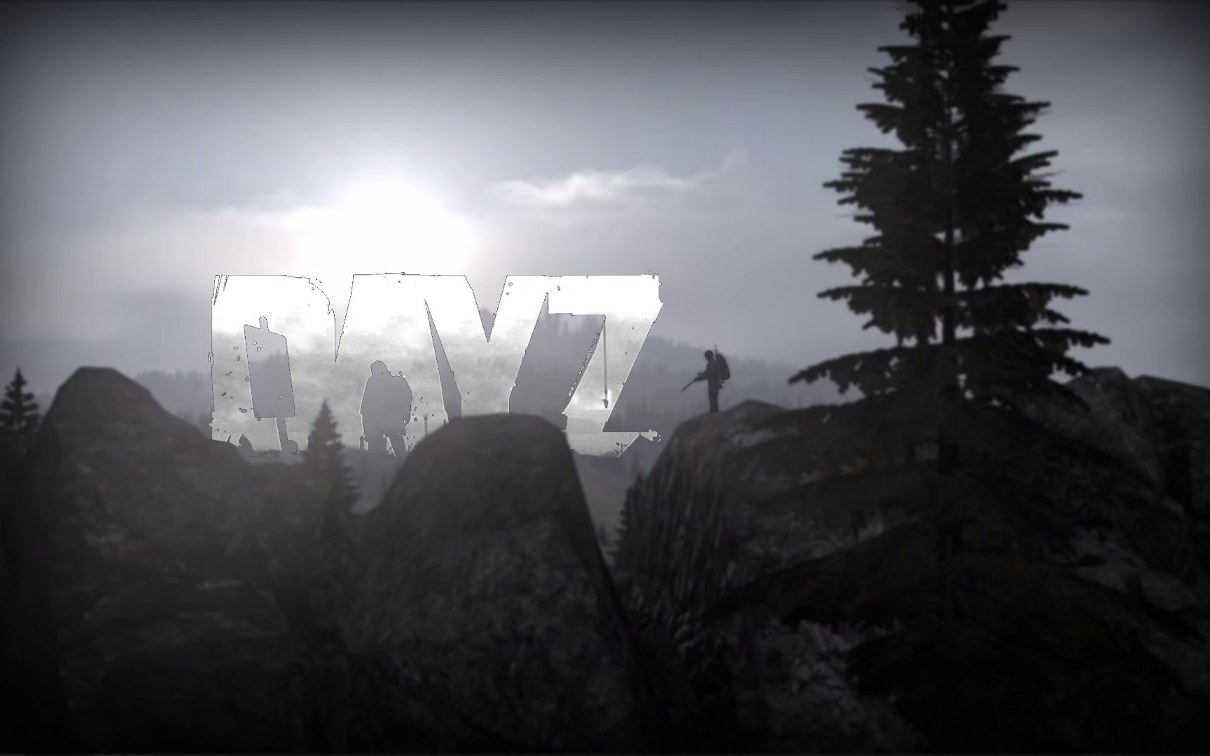 DayZ服务器道具代码结合管理工具实战