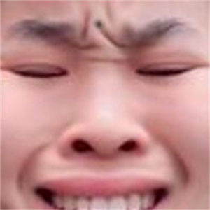 陈二嗡嗡