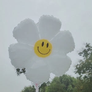 希希老师的小课堂 