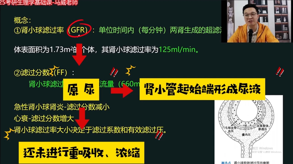 【25医学考研】生理知识点:肾小球滤过率——来自复旦马威老师生理学