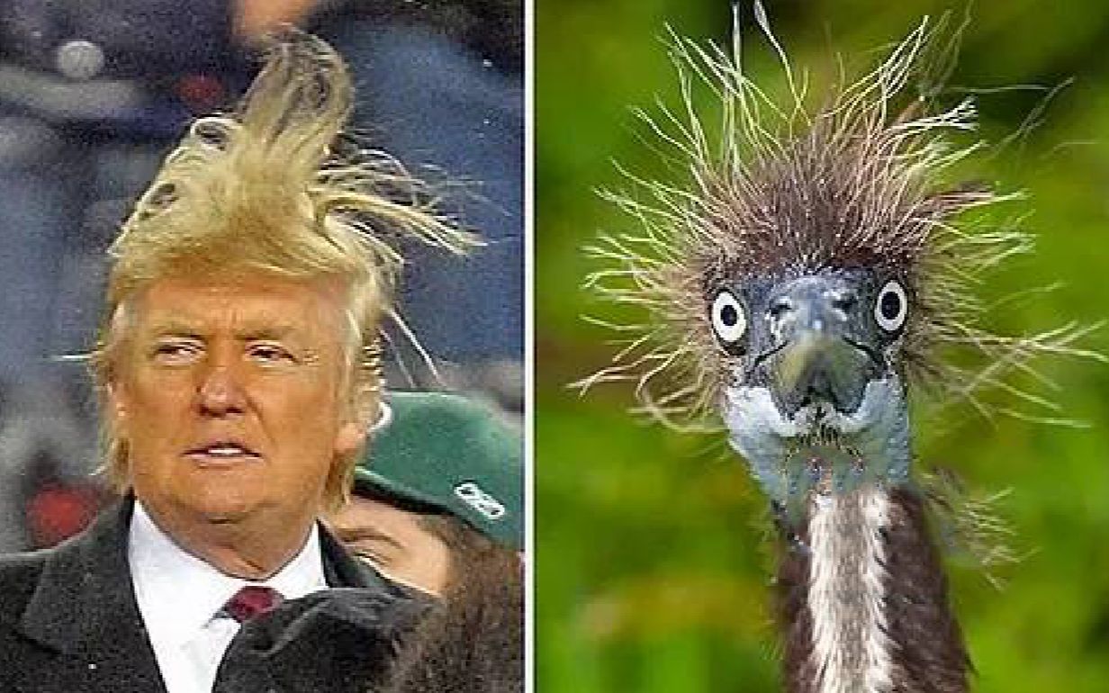 冒死从FBI偷出来的机密文件