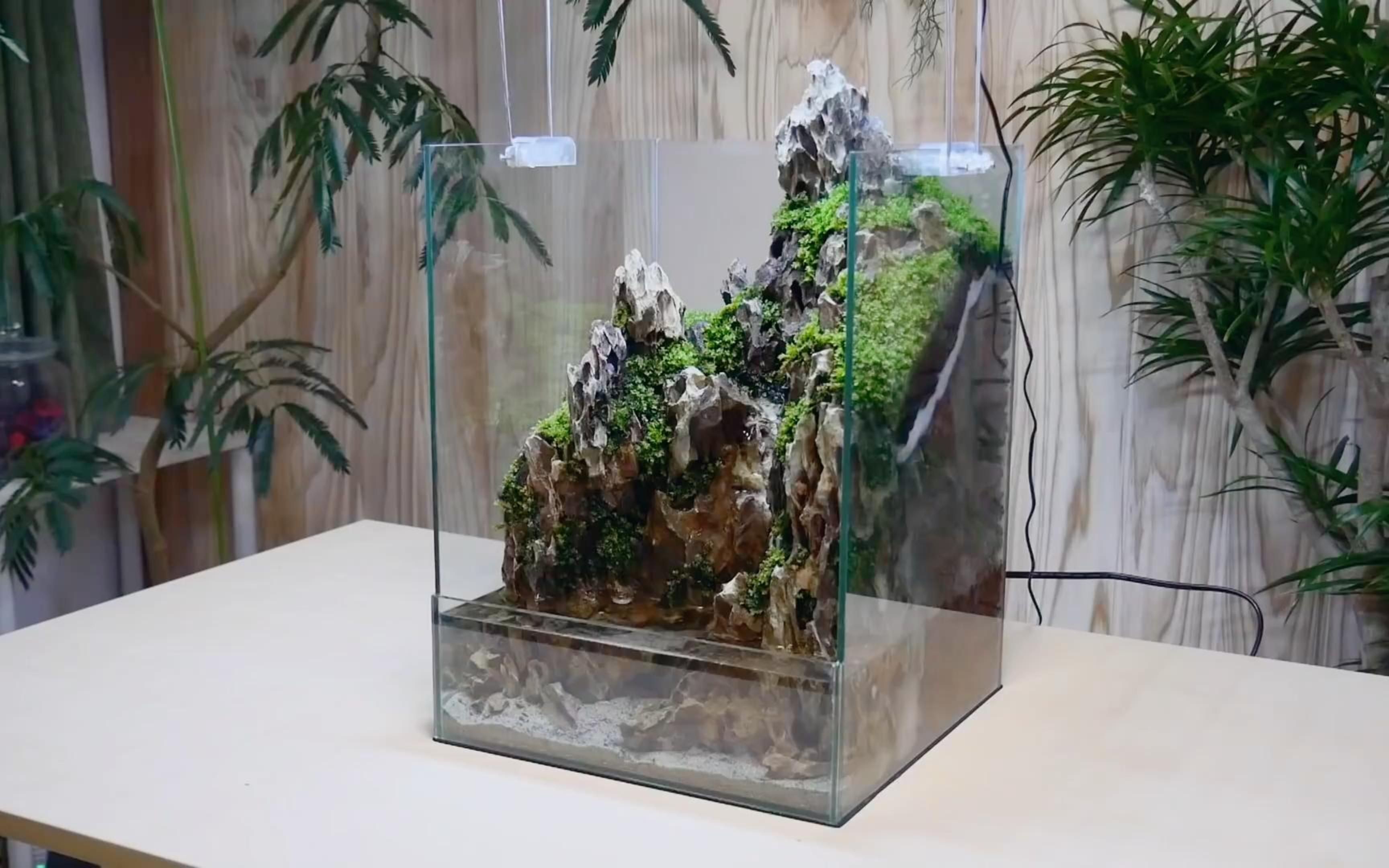 用松皮石制作一个假山水陆缸造景,这也太好看了