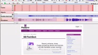 BB FlashBack 用户指南- 片段和音轨