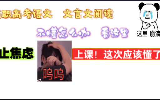 高职高考语文 文言文 最靠谱细心的讲课视频