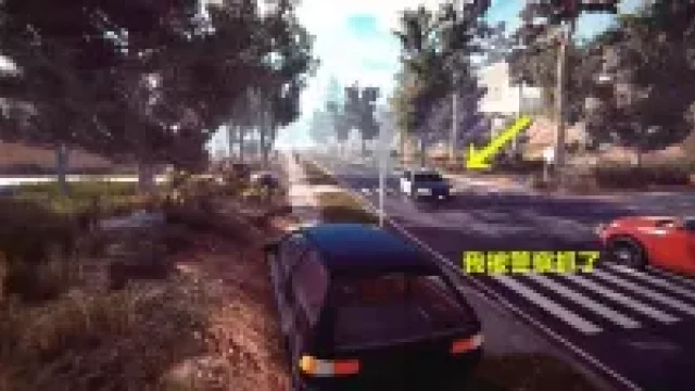 小偷模拟器第3期! 我大白天去偷东西, 最后被警察抓住了