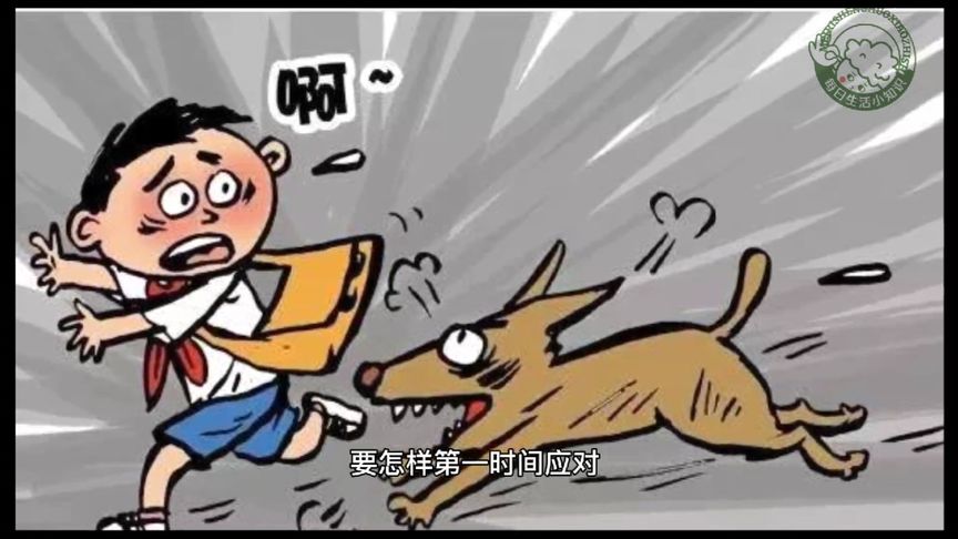 孩子被狗咬了,牢记这几个紧急处理方法!