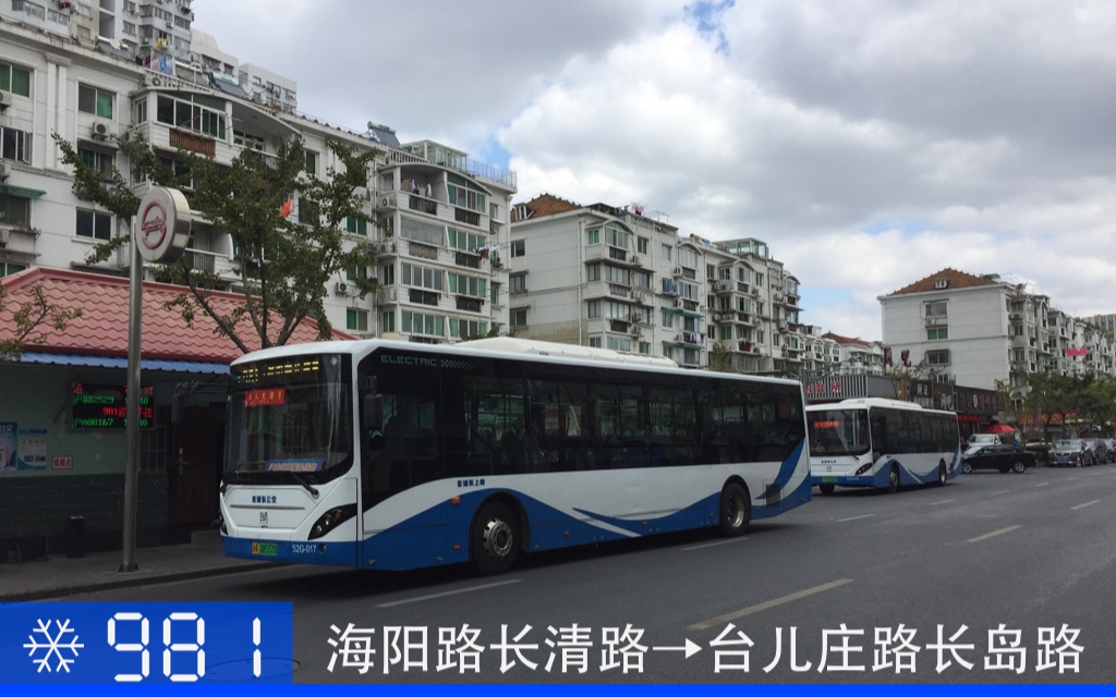 【上海公交】981路 海阳路长清路→台儿庄路长岛路 全程前方展望