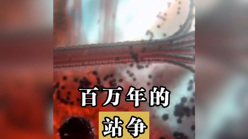 艾滋病毒和人体免疫细胞是如何战争的