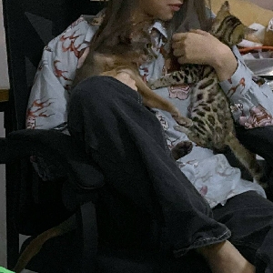 草莓二十元一斤 